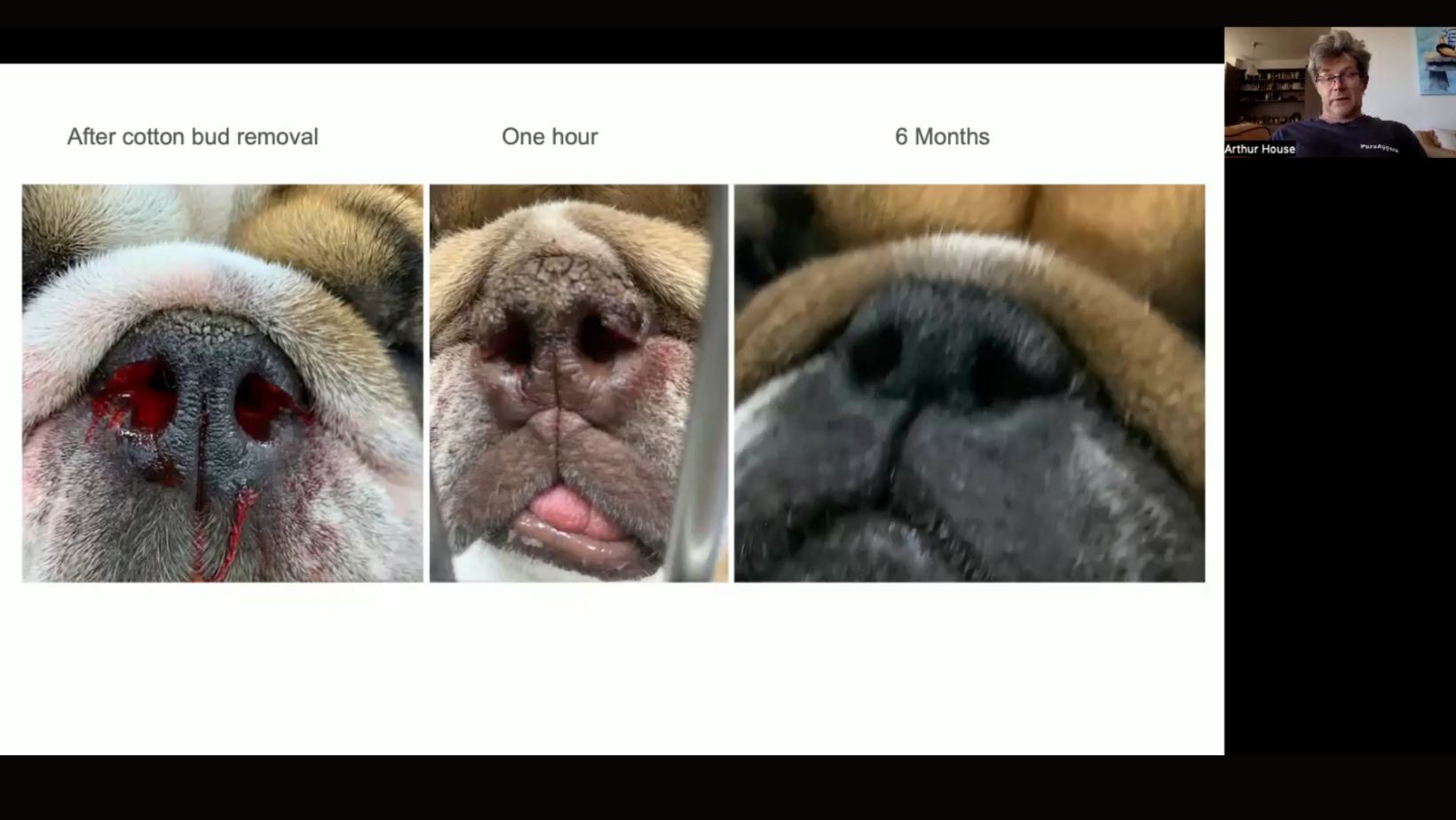 From the couch with Dr Arthur - Trader’s Alarplasty - Peninsula Vet ...
