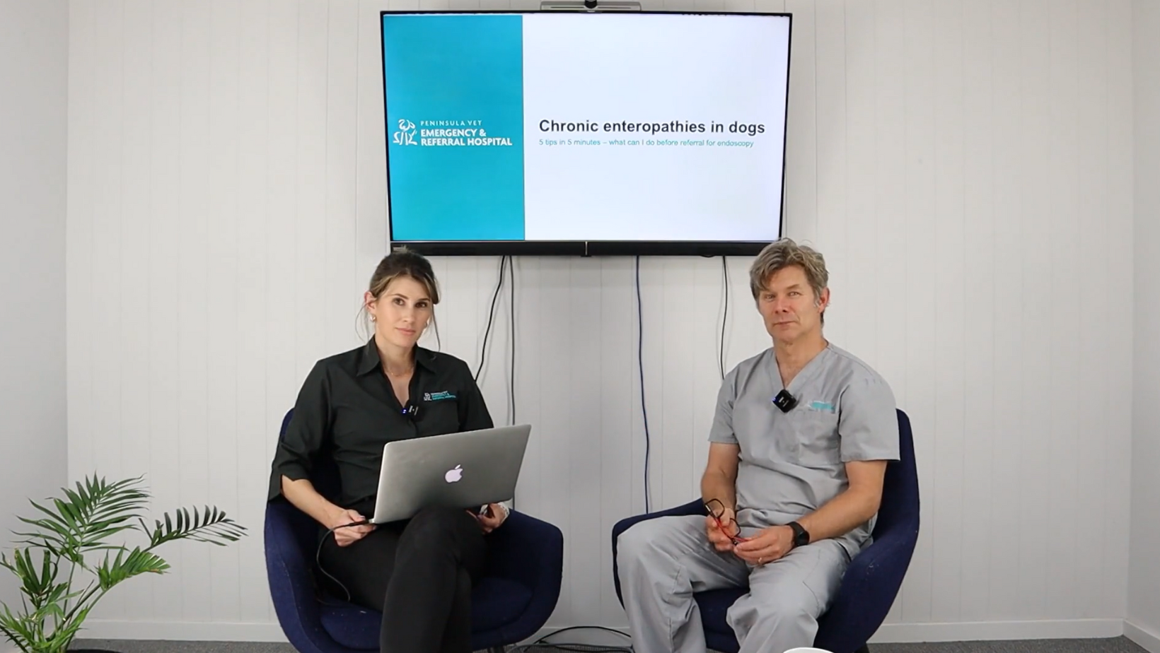 5 Tips in 5 Minutes - Ep. 11 Chronic enteropathies in dogs - Peninsula ...