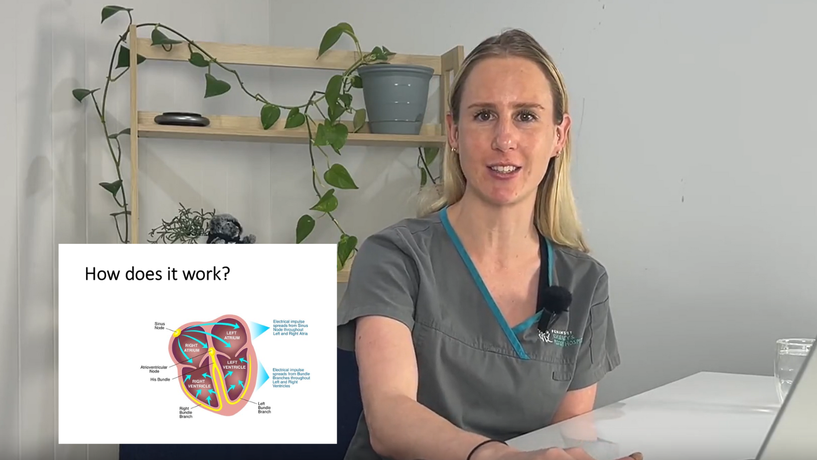 Interpretation of an Electrocardiogram (ECG) - Peninsula Vet Emergency ...