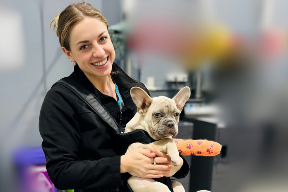 Specialist Brachycephalic Dog Service - Peninsula Vet Emergency & Referral Hospital